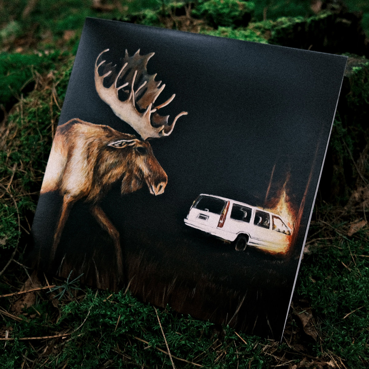 dawn heart dawn | elkks