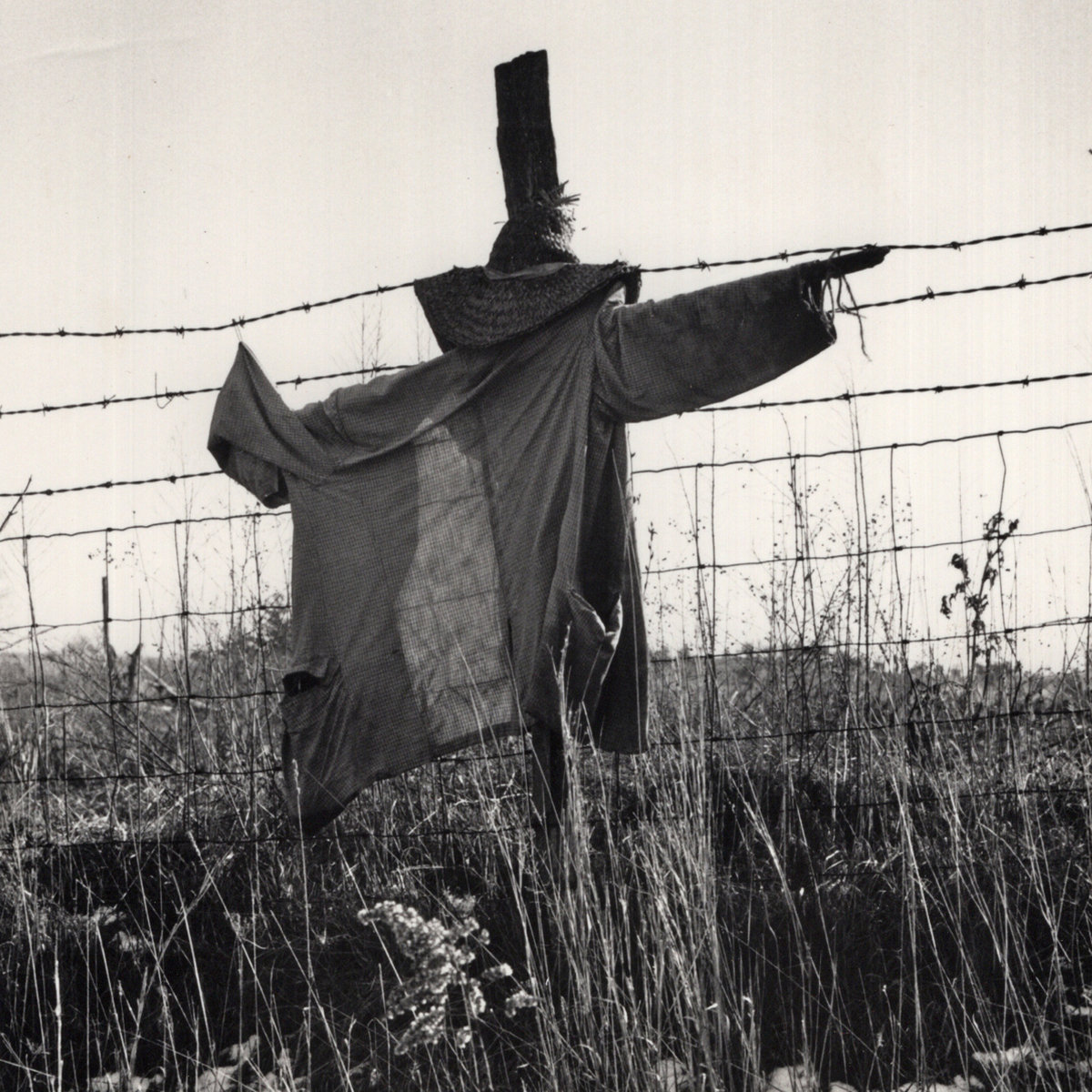 Rare Old Fiddle & Banjo Duets | Andy Cahan and Joseph Decosimo