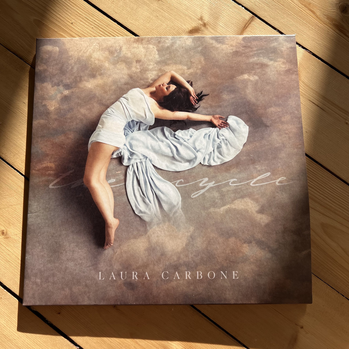 The Cycle | Laura Carbone