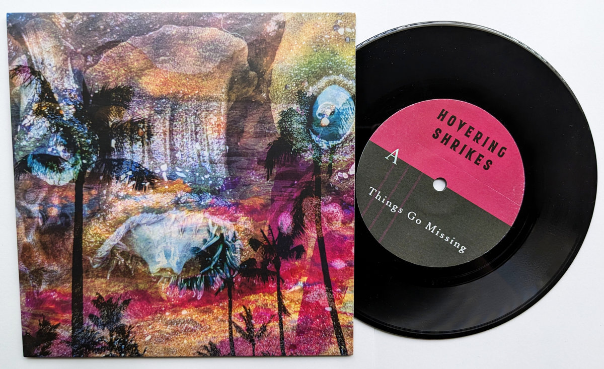 Things Go Missing / Northern Lights | Hovering Shrikes