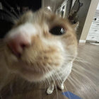 Maps of Non Existent Places | Thank You Scientist