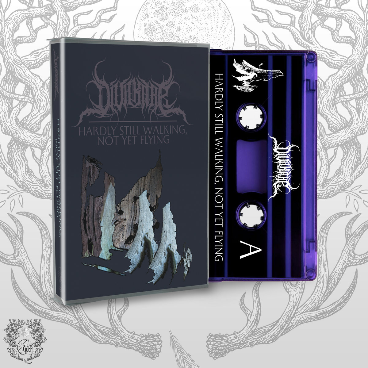 Hardly Still Walking, Not Yet Flying | Diva Karr | Fiadh Productions