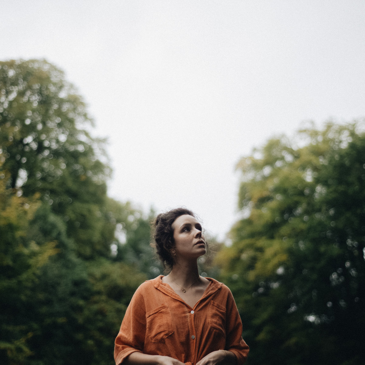 Knots And Echoes Laura Elizabeth Hughes