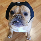 Operation: Doomsday (Complete) | MF DOOM