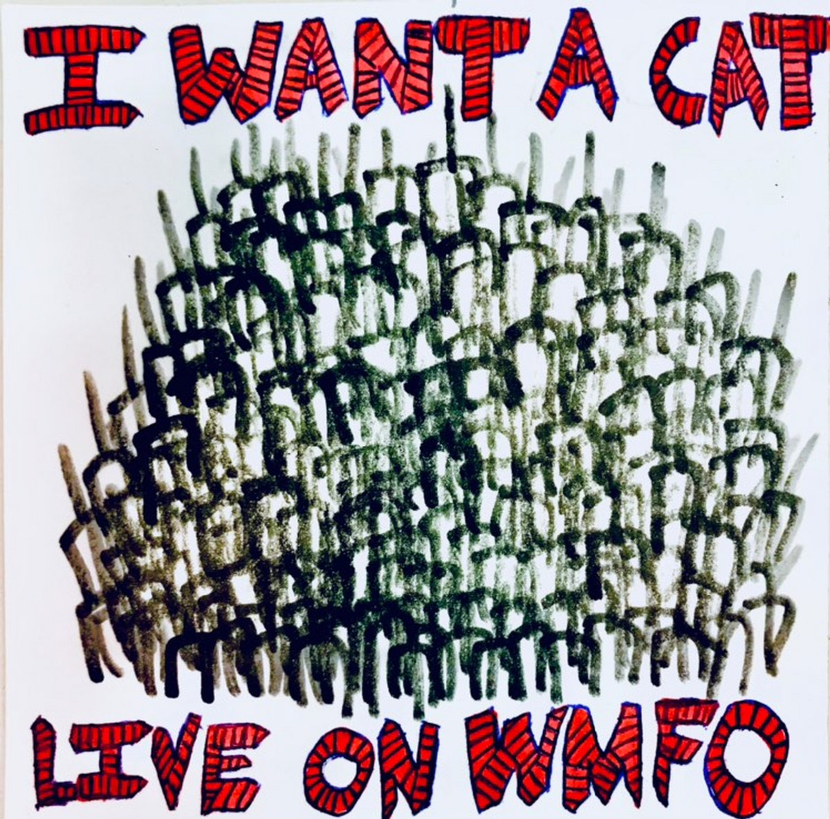Live at WMFO | I Want a Cat