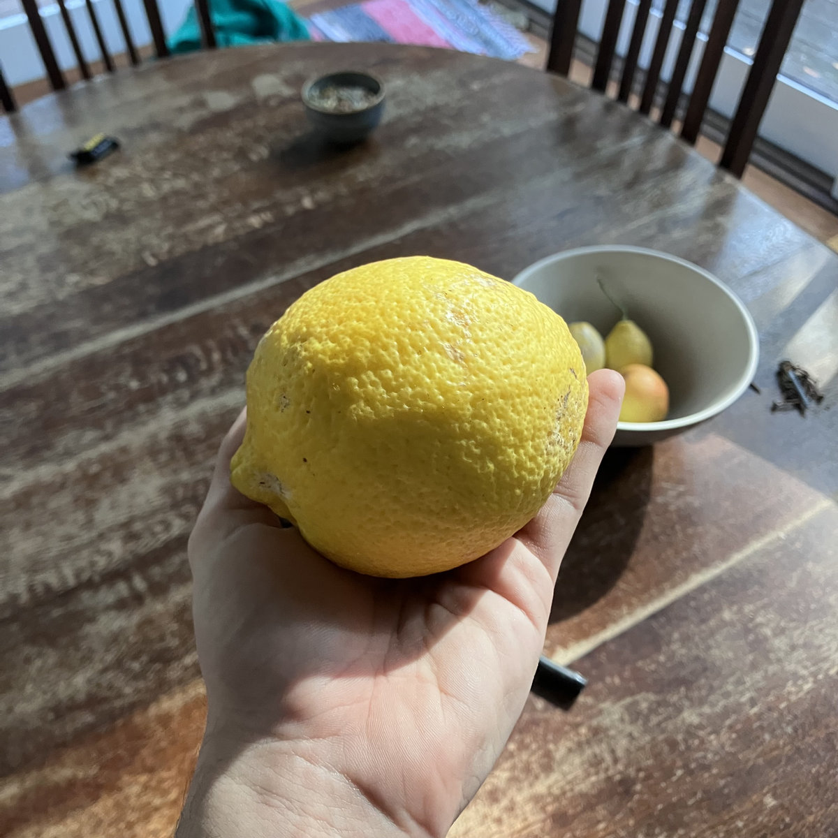 The Official Billiam Lemon | Billiam