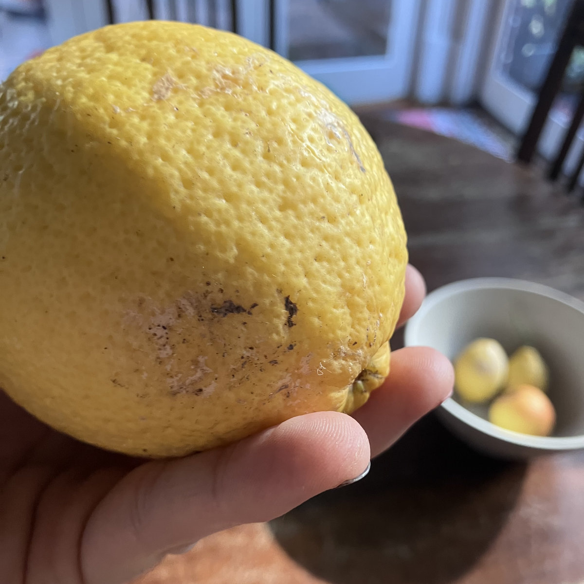 The Official Billiam Lemon | Billiam