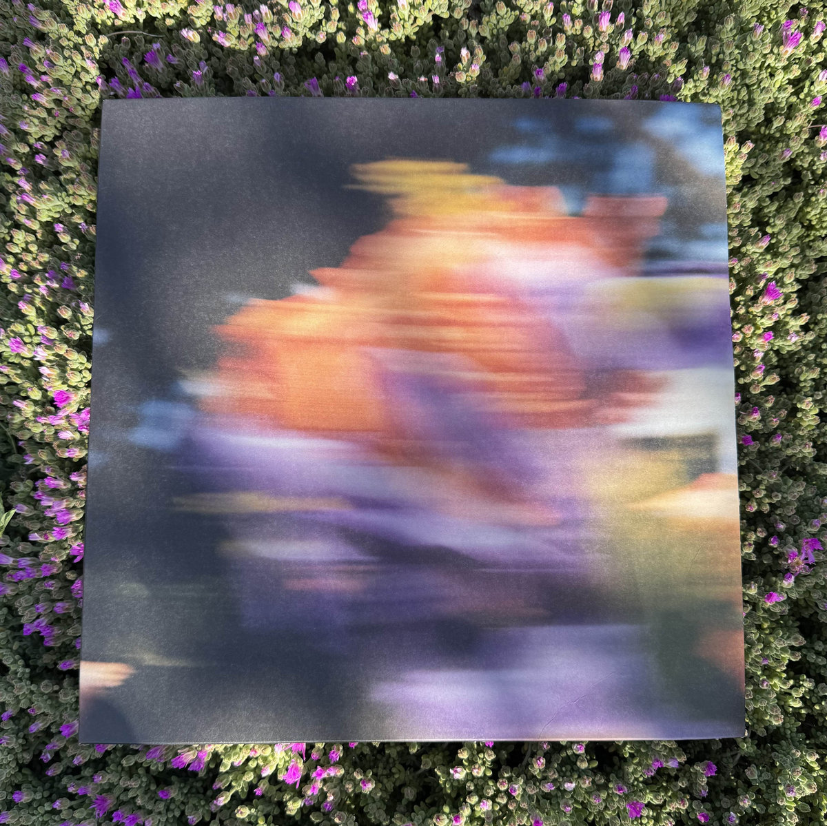 Tides | Catching Flies