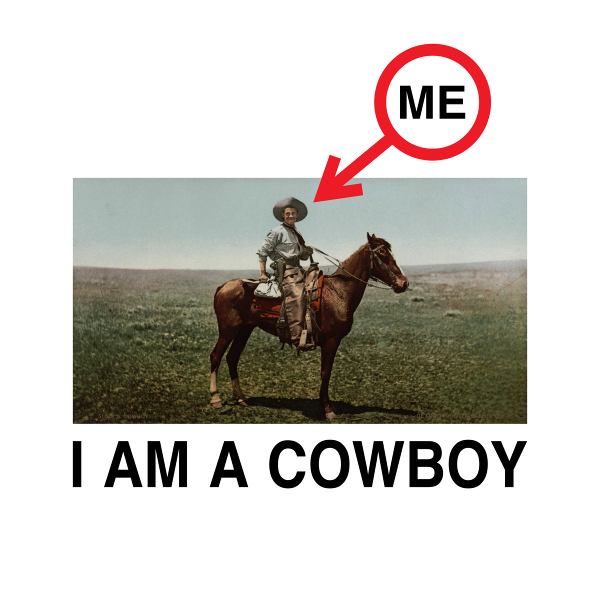 I AM A COWBOY t- shirt | Velvet