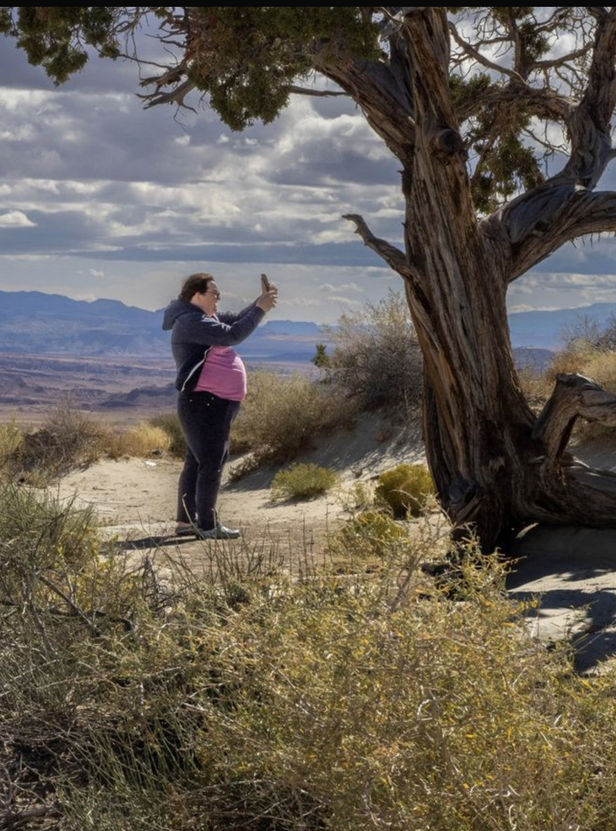 Scantily | Dino Panda