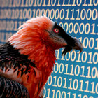 Interface OST Vol. I | HEXSYSTEM