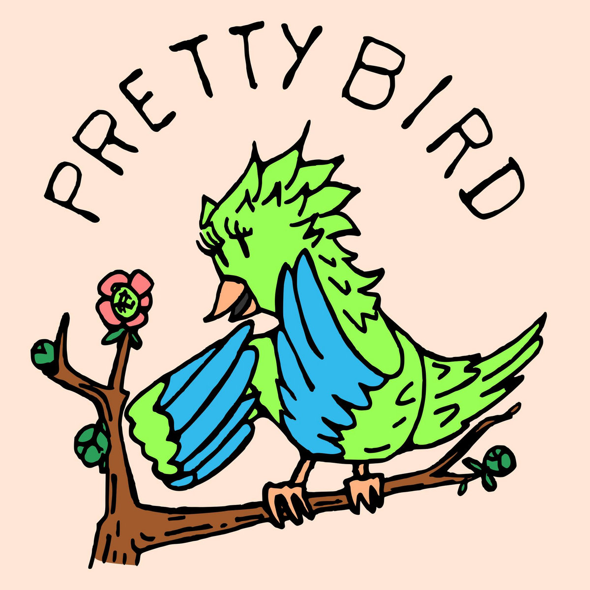 Que Lindo! | Pretty Bird