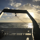 Allfather | Neon Odin