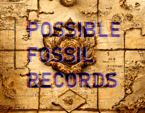 Music | Possible Fossil Records