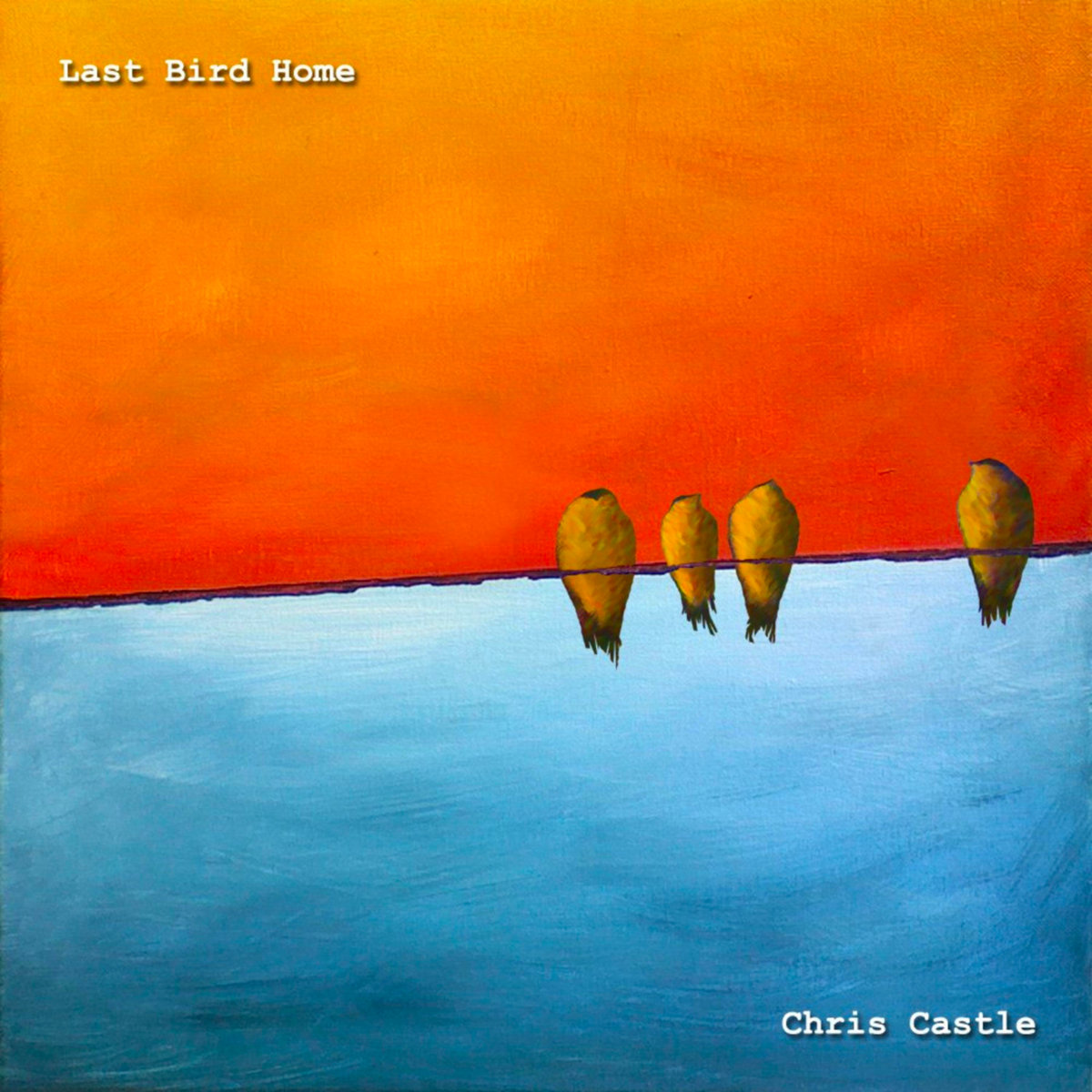 Last Bird Home | Chris Castle