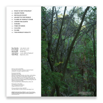 On “What Is Not Strange?” Tashi Wada Keeps It In The Family | Bandcamp ...