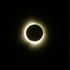 Exploding Trees & Airplane Screams | Patterson Hood