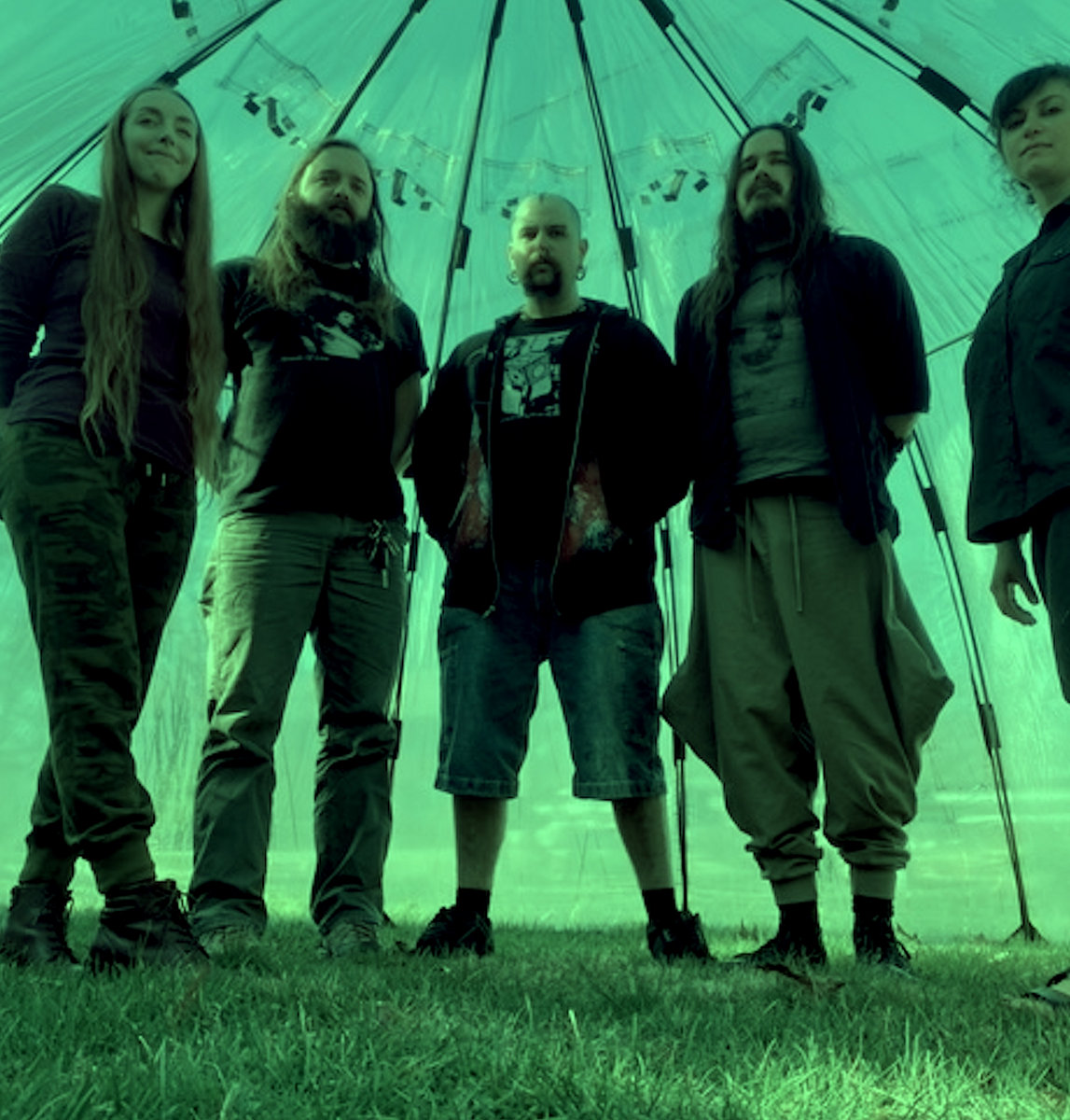 Let the Roots Eat | Entwife