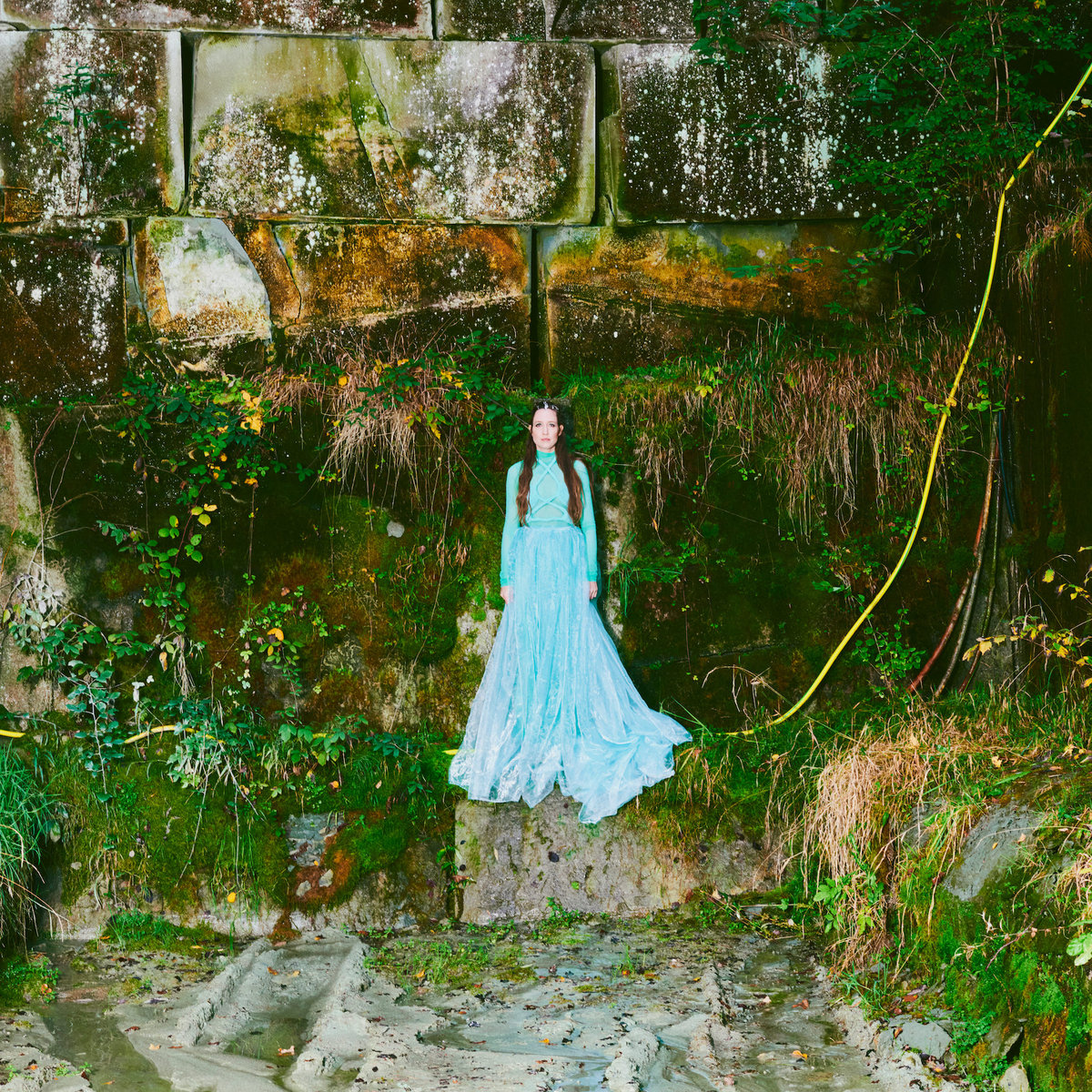 The Fool | Kate Birch