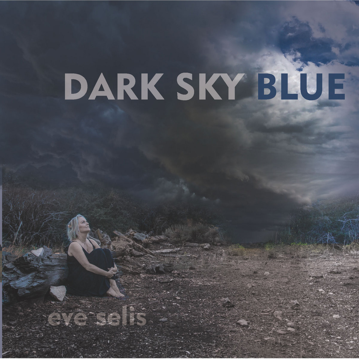 Dark Sky Blue | Eve Selis