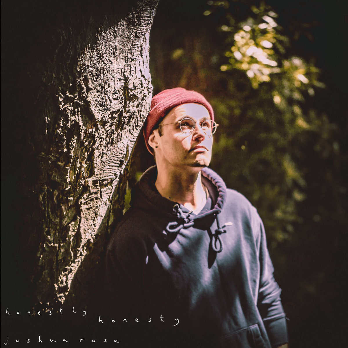 honestly honesty | Joshua Rose