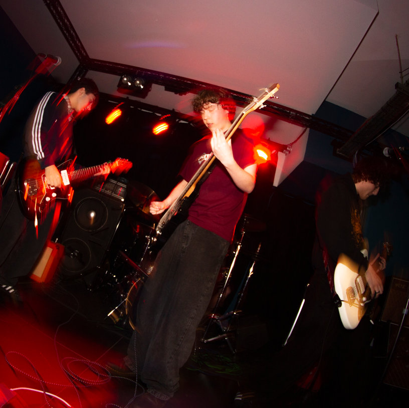 DEMO 2024 | Vertigo Flowers