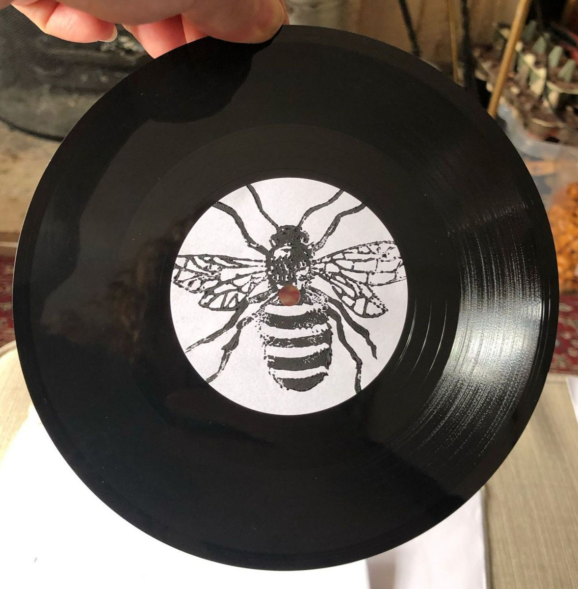 The Bee-Boy's Song - Double Single | Will Finn & Rosie Calvert | Will ...