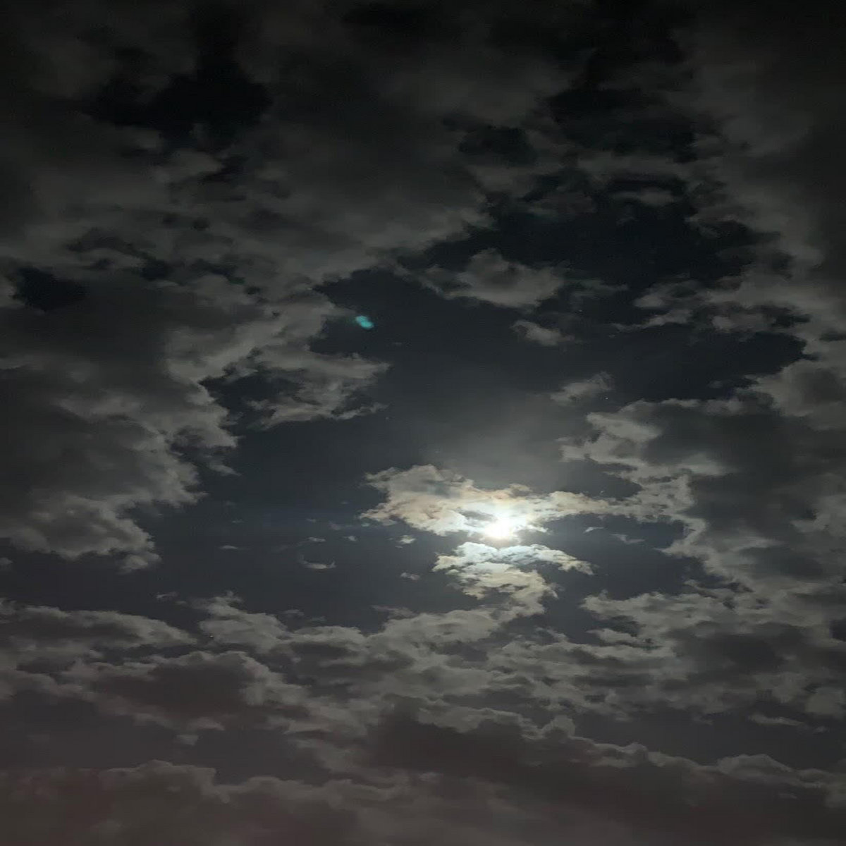 Rude Awakening Blank Slate