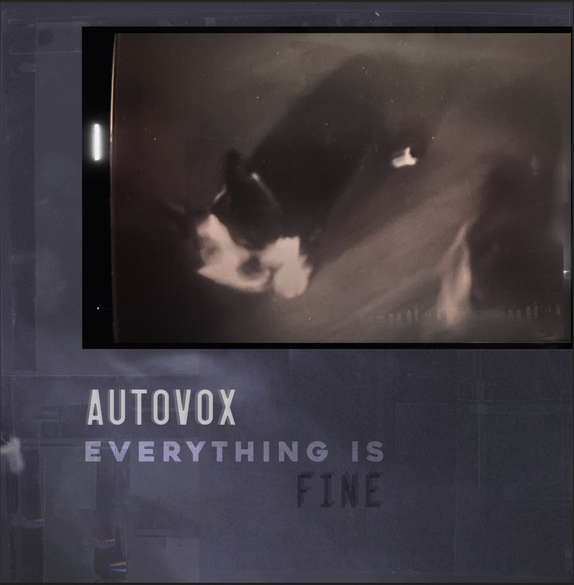 Everything is Fine | Autovox
