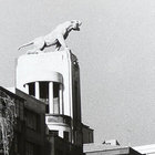 Carving Creases | Casper Allen