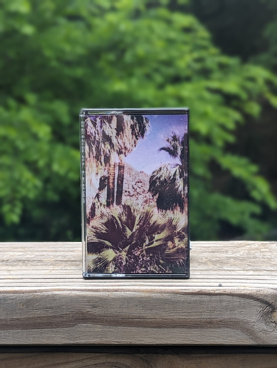 Mirrored Hope | Reign of Ferns | Aural Canyon
