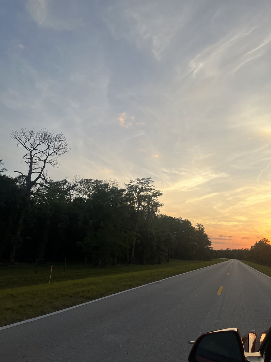 mourning | soul ripped apart