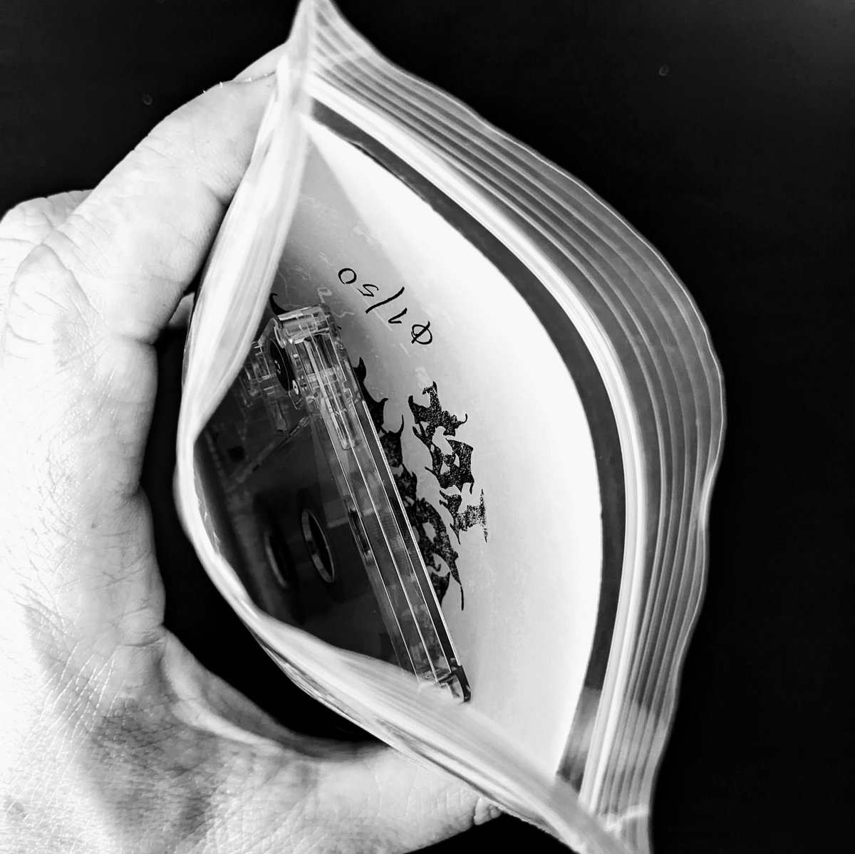 Larvae Chewing Into Ice Burnt Carcass Folds | GLEMT & CALLING OF ...