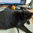 Chukela EP | DJ Maphorisa & Tman Xpress | New Money Gang