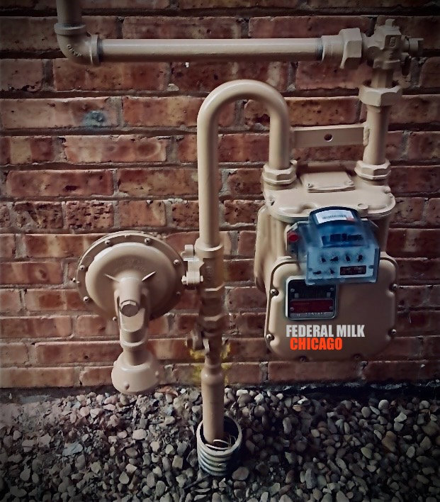 Music | Federal Milk Records