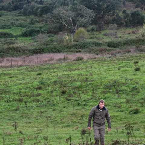In Flux - Field Recordings | Mike Rekers