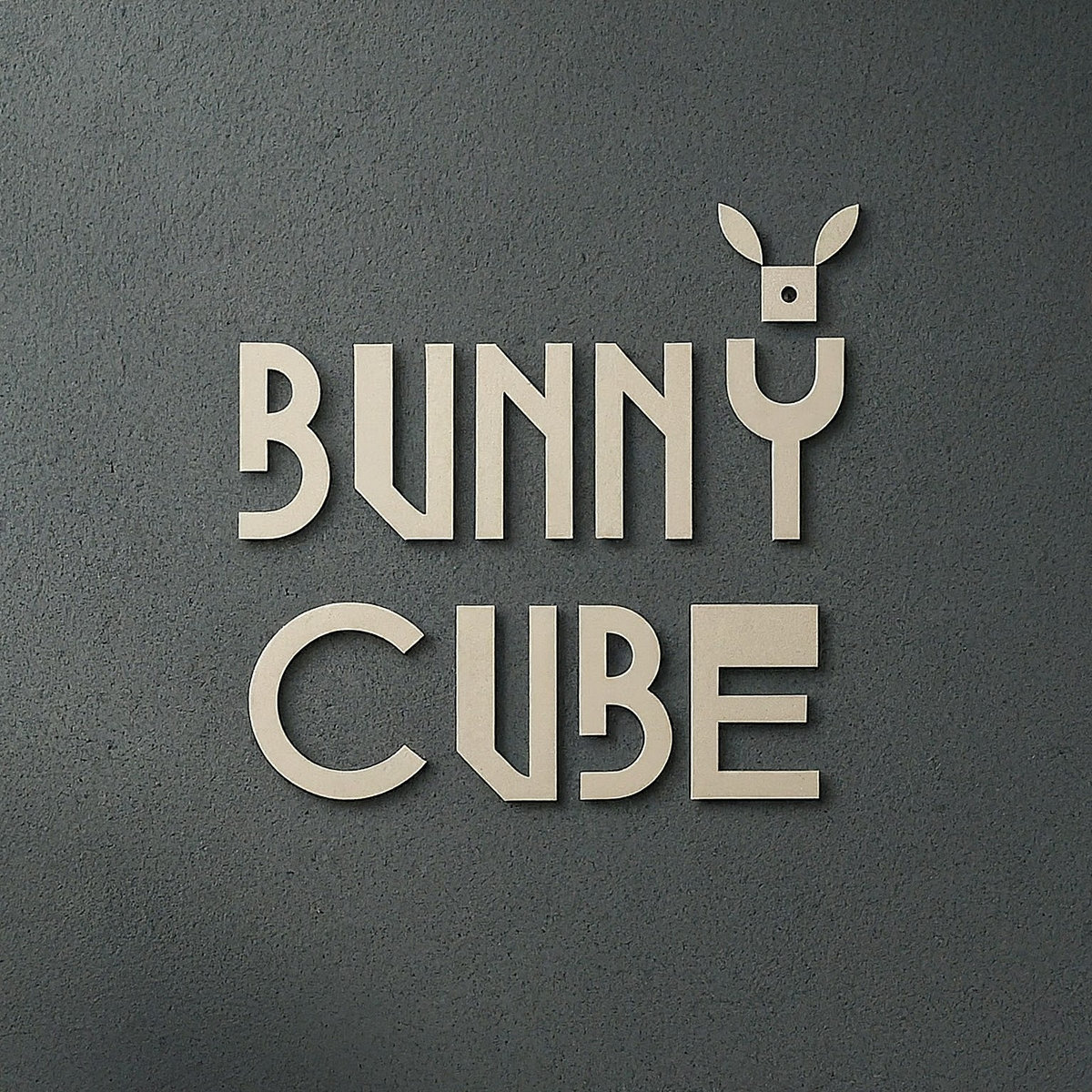 Synthetic Synthesis | Bunny Cube