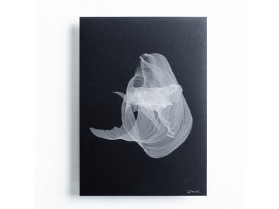 Sound visualization PLOT | Wind Turbine Sound | barbe_generative_diary