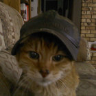 Haunts | German Error Message