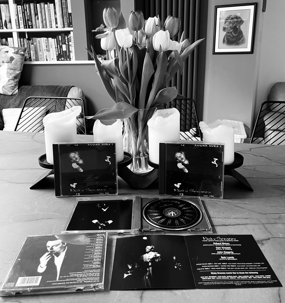 Little Symphonies For The Kids CD | Micky Greaney