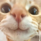 Yaya / Gunman | Lithe | Prior Self