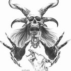 VAMP | Magnolia Park