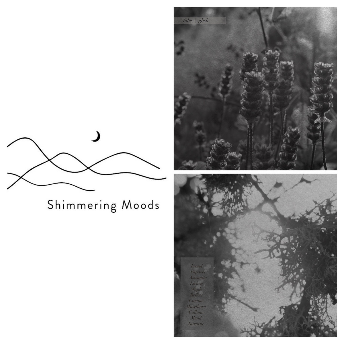 glisk | tides | Shimmering Moods Records
