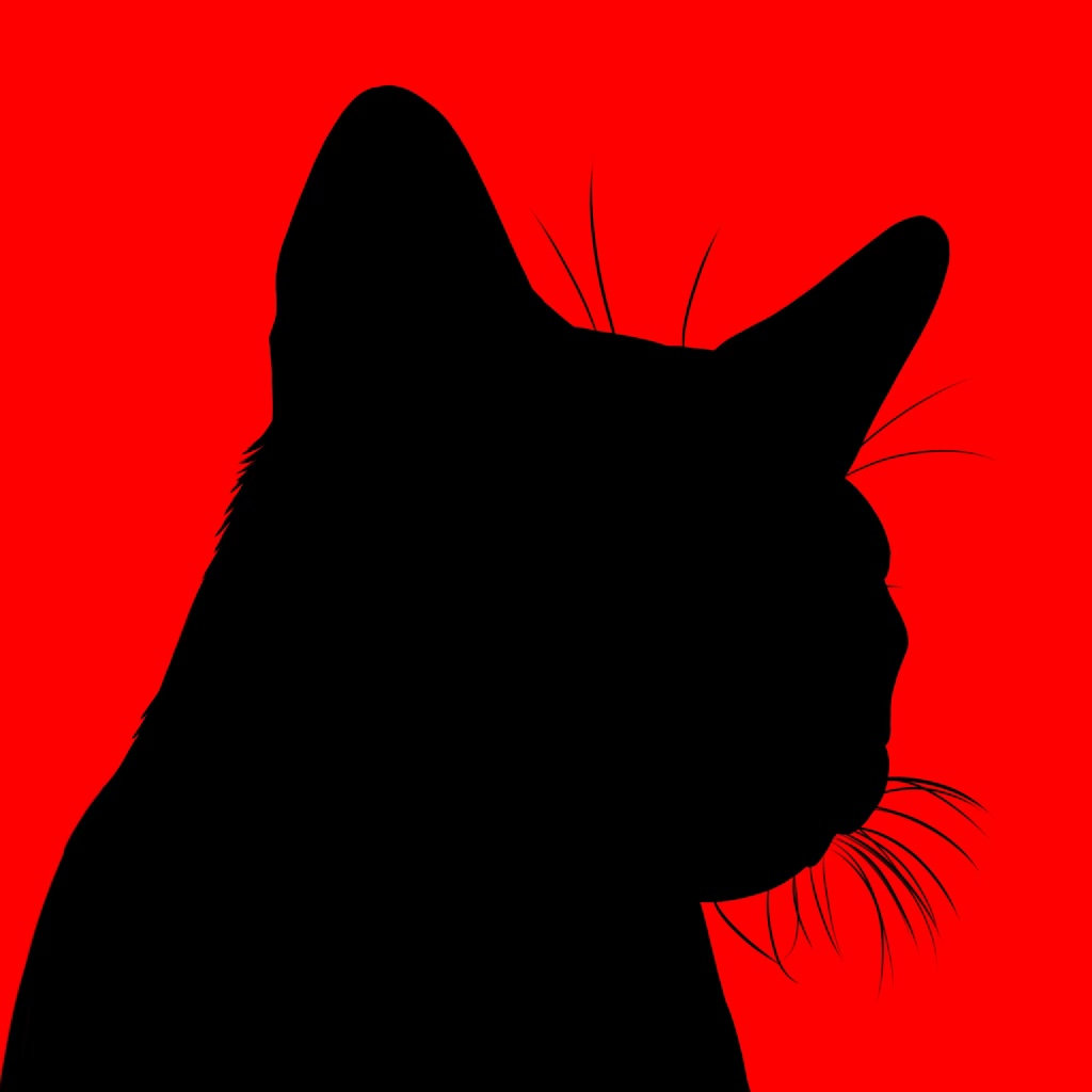 Perspective | Peter McCormick