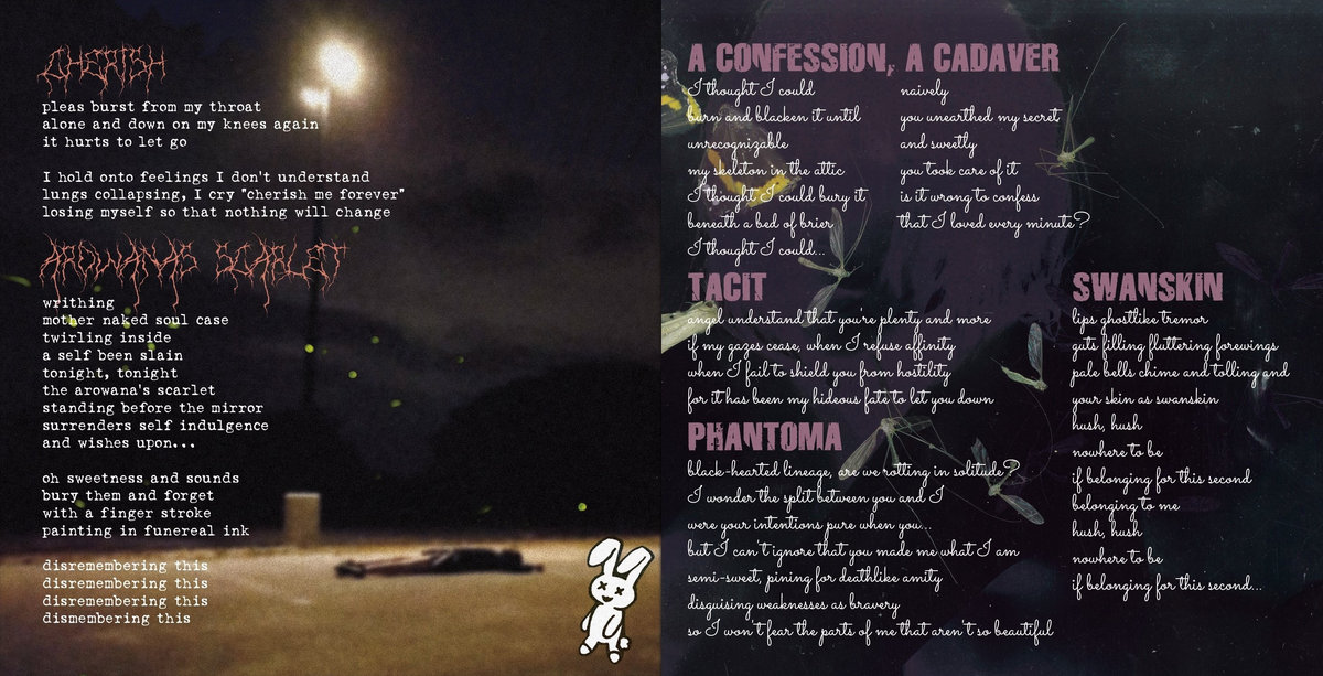Selected Retrospections (Discography 2016-2024) | Strawberry Hospital