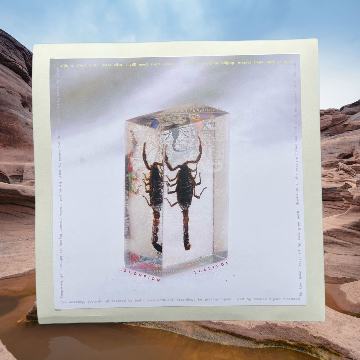 Scorpion Lollipop | Dolly Creamer