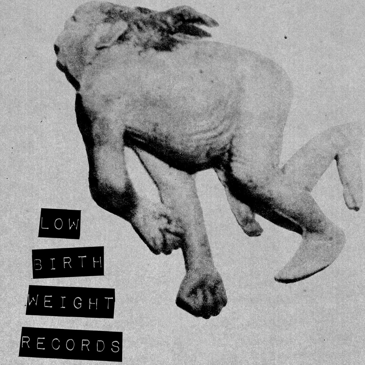 Bangstick Blasting Gorenoise | Malice Aforethought | Low Birth Weight ...