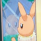 The New 4lung Album | 4lung | RAWRDCORE RECORDS