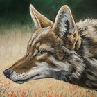 OVERGROWTH | OSCOB / Digital Sex | BLUDHONEY RECORDS