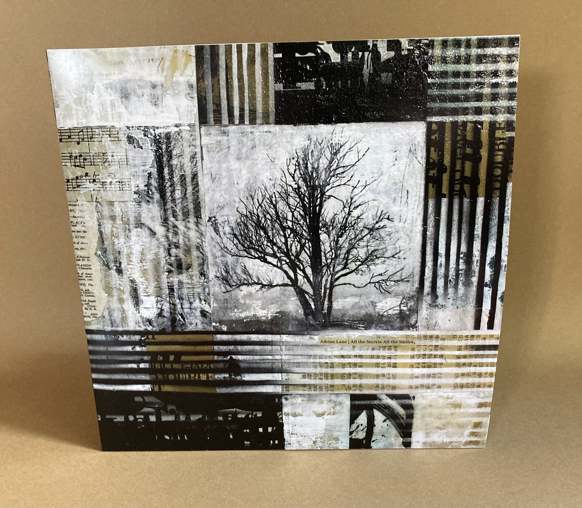 Adrian Lane - All the Secrets All the Smiles | Adrian Lane | oscarson